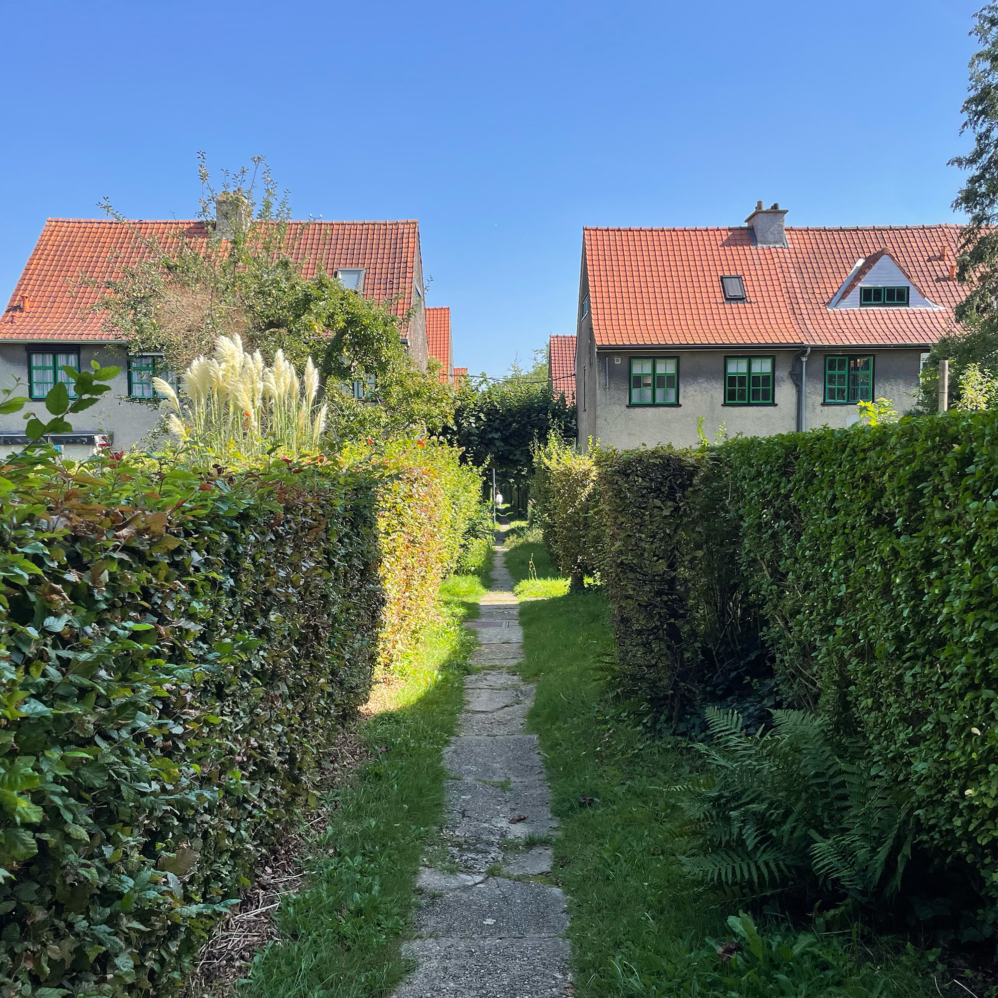 Logis Floréal Durable ASBL | L'union fait l'énergie